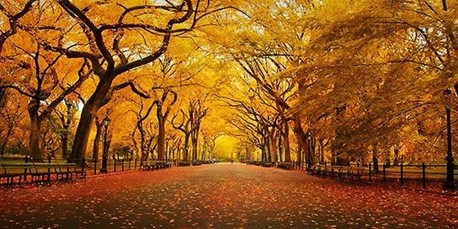 LJ Hooker Strata ACT